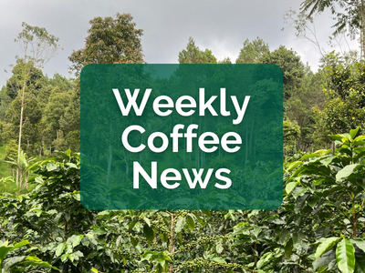 List + Beisler – Premium Coffee Culture since 1901