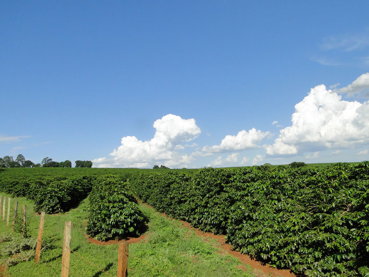 List + Beisler – Premium Coffee Culture since 1901